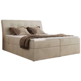 BOXBETT DAGOS 120/200 - Beige Velvet - H4 - Topper T25