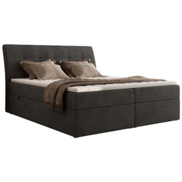 BOXBETT DAGOS 200/200 - Dunkelgrau Velvet - H4 - Topper T25