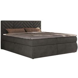 BOXBETT AVERTA 160/200 - Dunkelgrau Velvet - H3