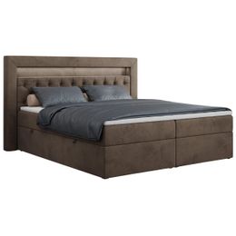 BOXBETT GOLD-6 LED 140/200 Braun Velvet - H4