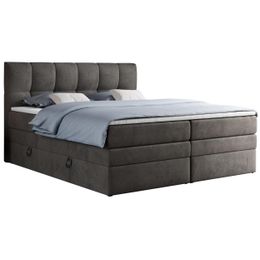 BOXSPRINGBETT ALVIN KING 180/200 Dunkelgrau Velvet - H3