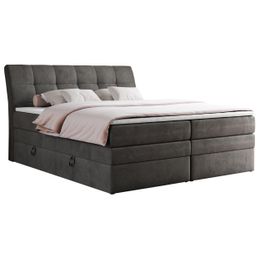 BOXSPRINGBETT GOLD-10 KING 160/200 Dunkelgrau Velvet - H4