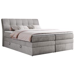 BOXSPRINGBETT GOLD-10 KING 200/200 Hellgrau Velvet - H4