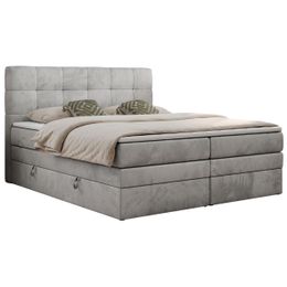 BOXSPRINGBETT LUKA KING 120/200 Hellgrau Velvet - H3
