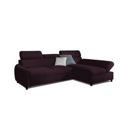 Fun M&ouml;bel ECKSOFA Schlafsofa Anton Xs In Esito