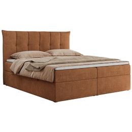 BOXBETT PREMIUM 10 120/200 Orange Struktur - H3