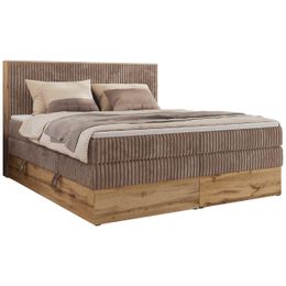 BOXBETT WOOD CLASSIC KING 180/200 - Braun Cord - H3