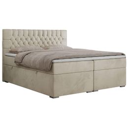 BOXBETT PERA 120/200 Beige Velvet - H3