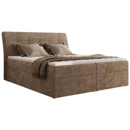 BOXBETT DAGOS 140/200 - Braun Schenille glatt - H4 - Topper Visco