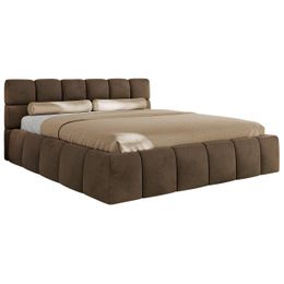 POLSTERBETT NIRA CLASSIC 200/200 - Braun Velvet - Schaum-Matratze