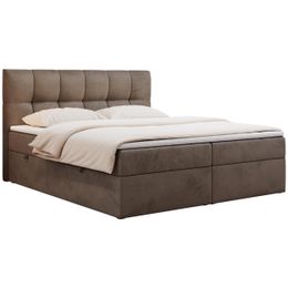 BOXBETT RICO 120/200 Braun Velvet - H3