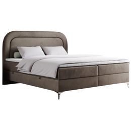BOXBETT EIRA 120/200 Braun Velvet - H4