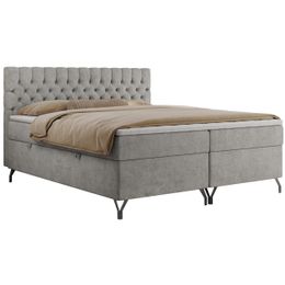 BOXBETT GRIMALDI 120/200 Hellgrau Struktur - H4