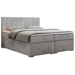 BOXBETT LOPE 120/200 - Hellgrau Velvet - H4