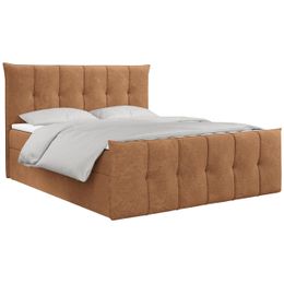 BOXBETT PREMIUM 11 120/200 Orange Struktur - H3