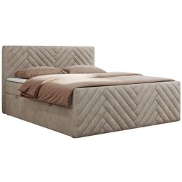BOXBETT PARIS DUO 120/200 - Beige Struktur - H3
