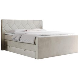 BOXSPRINGBETT KING EIGAR 160/200 Beige Velvet - H4