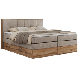 BOXSPRINGBETT ALBERO 1 KING 180/200 Beige Strukture - H3