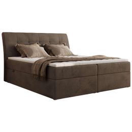 BOXBETT DAGOS 200/200 - Braun Velvet - H4 - Topper Visco