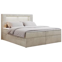 BOXBETT GOLD-5 LED 120/200 Beige Velvet - H4
