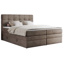 BOXSPRINGBETT ERNI KING 160/200 Braun Velvet - H3