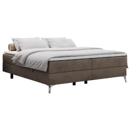 BOXBETT LESS 120/200 Braun Velvet - H4