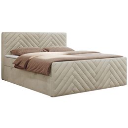 BOXBETT PARIS DUO 120/200 - Beige Velvet - H3