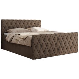 BOXBETT MIREN DUO 120/200 - Braun Velvet - H3