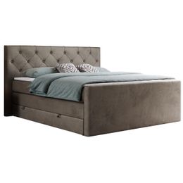 BOXSPRINGBETT KING VELEN 180/200 Braun Velvet - H4