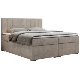 BOXBETT LOPE 120/200 - Beige Strukture - H4