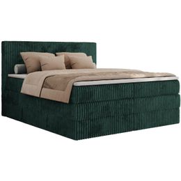 BOXSPRINGBETT TILIANO KING - 160/200 - Dunkelgr&uuml;n Cord - H3