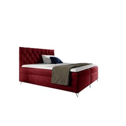 Fun M&ouml;bel BOXBETT Ambre In &uuml;berl&auml;nge