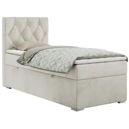 BOXBETT ALDA 90/200 Beige Velvet - H3 - Links Seite