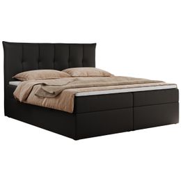 BOXBETT PREMIUM 10 120/200 Schwarz Kunstleder - H3