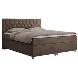 BOXBETT ROMA 140/200 - Braun Velvet - H4