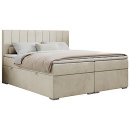 BOXBETT ALLY 120/200 Beige Velvet - H3