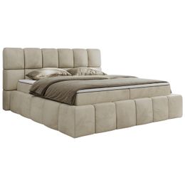 BOXBETT NIRA 120/200 - Beige Velvet - H4
