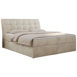 BOXBETT DIEGOS 120/200 Beige Velvet - H4
