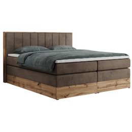 BOXSPRINGBETT BELLISSIMO KING 160/200 Braun Velvet - H4