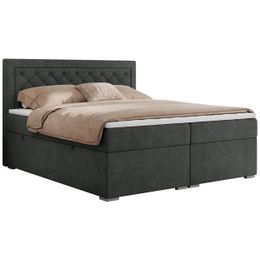 BOXBETT JASIR 120/200 - Dunkelgrau Strukture - H3