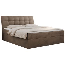 BOXBETT DIEGOS 120/200 Braun Velvet - H3