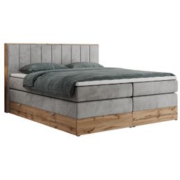 BOXSPRINGBETT BELLISSIMO KING 140/200 Hellgrau Velvet - H4