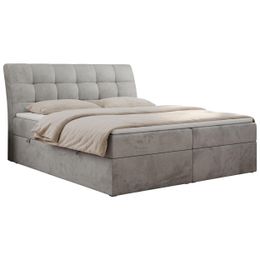 BOXBETT DIEGOS 120/200 Hellgrau Velvet - H3