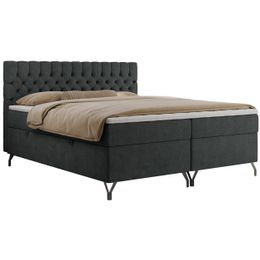 BOXBETT GRIMALDI 120/200 Dunkelgrau Struktur - H3