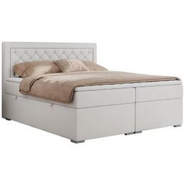 BOXBETT JASIR 180/200 - Wei&szlig; Kunstleder - H3