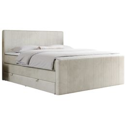 BOXSPRINGBETT KING DOREN 140/200 Beige Velvet - H3