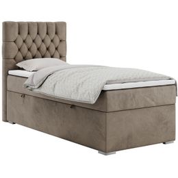 BOXBETT PERA 90/200 Braun Velvet - H4 - Links Seite