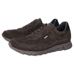 Sneaker Sioux "Mokrunner-H-016-TEX", Herren, Gr. 40 (UK 6 1/2), grau, Obermaterial: 100% Kalbsveloursleder CAVL. 100% Gummi rubber., Schuhe Sneaker
