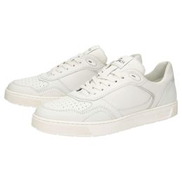 Sneaker Sioux "Tedroso-704", Herren, Gr. 39 (UK 5 1/2), wei&szlig;, Obermaterial: 100% Lammnappaleder LANA. 100% Gummi rubber., Schuhe Sneaker