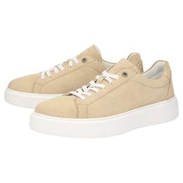 Sneaker Sioux "Tils sneaker 003", Herren, Gr. 40 (UK 6 1/2), beige, Obermaterial: 100% Kalbsveloursleder CAVL. 100% Gummi rubber., Schuhe Sneaker